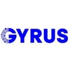Gyrus Ai Private Limited - 2026 Insights